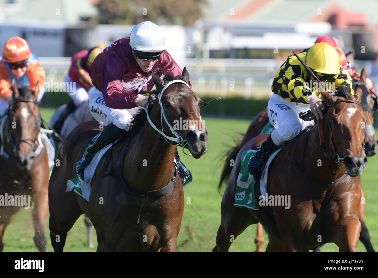 Jockey Joshua Parr rides Lifesaver to victory in race 2, the Tab ...