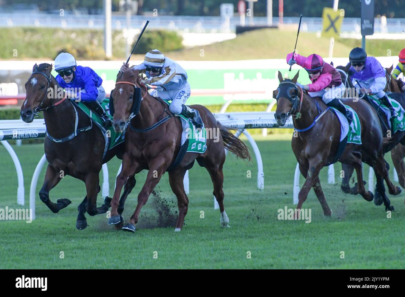 Jockey Rachel King rides Deprive to victory in race 8, the EML Handicap ...