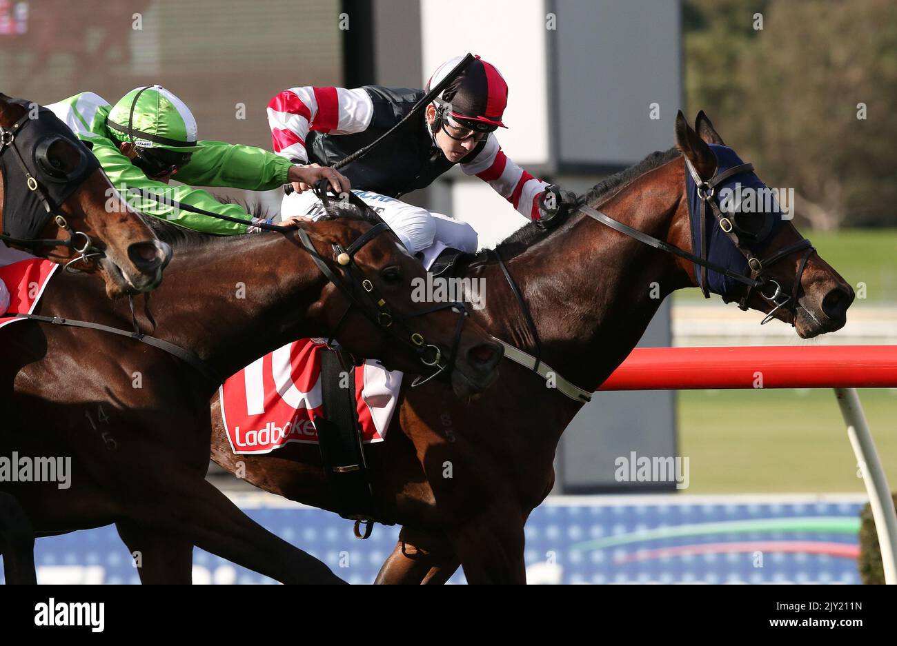 Jockey Harry Grace rides Gennady to victory in race 5, Samson Handicap ...