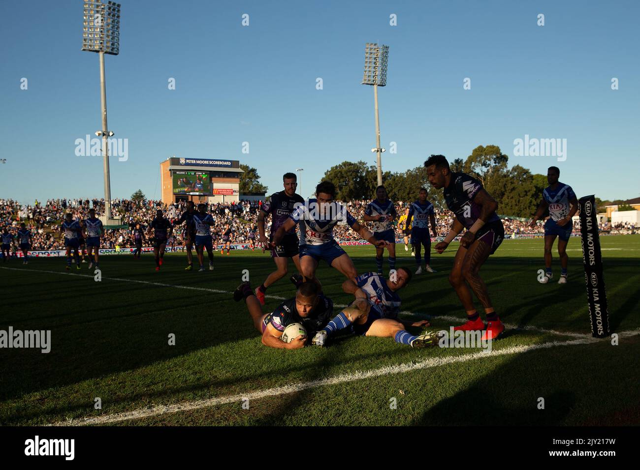 Will Chambers of the Storm scores a try during the Round 11 NRL match ...