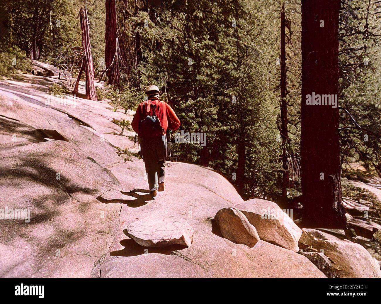 Adventure park 1960s hi-res stock photography and images - Alamy