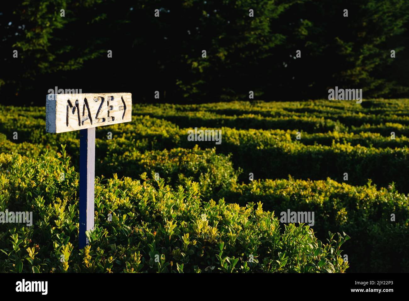 Nature maze with signpost at sunrise Stock Photo - Alamy