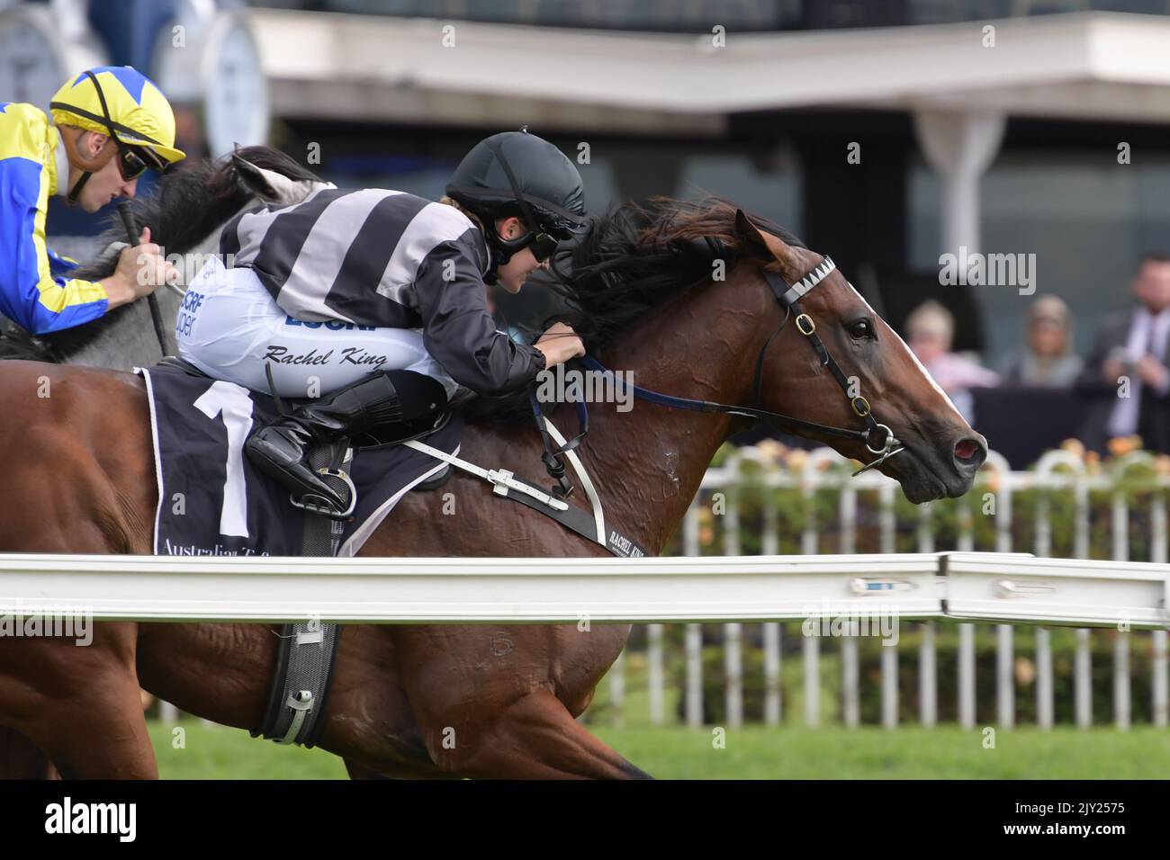 Jockey Rachel King rides Splintex to victory in race 1, the Southern ...