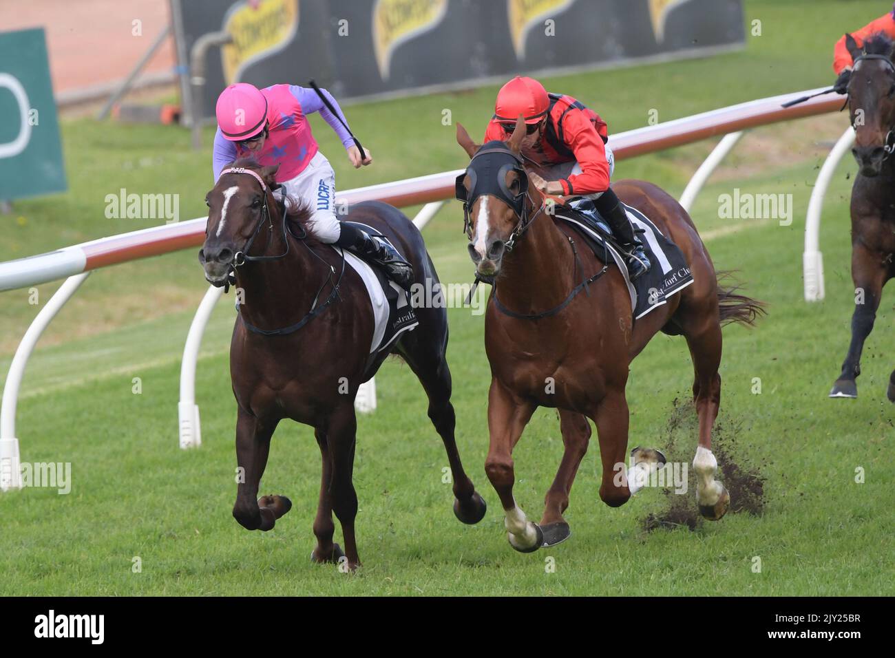 Jockey Jason Collett rides Passage Of Time to victory in race 4, the ...