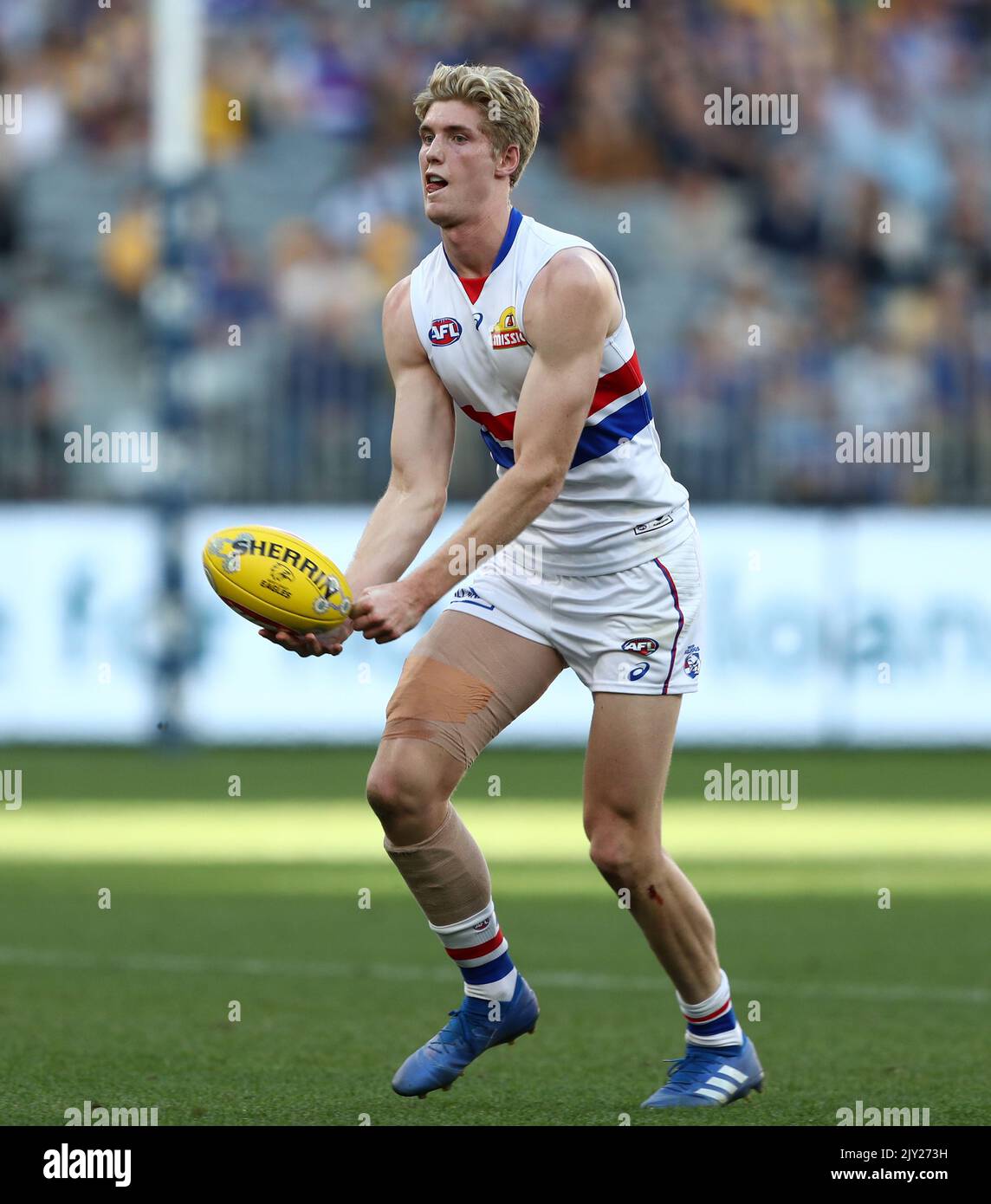 Tim English of the Bulldogs during the Round 11 AFL match between the ...