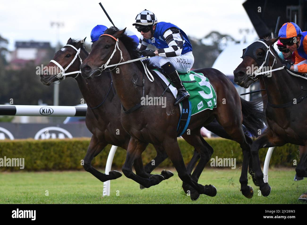 Loveisili ridden by jockey Brenton Avdulla wins race 4, the TAB ...