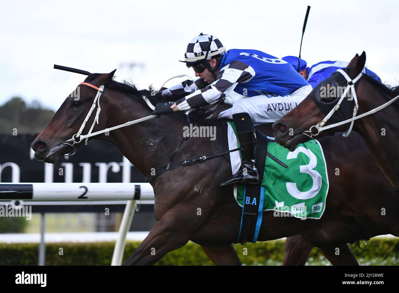 Loveisili ridden by jockey Brenton Avdulla wins race 4, the TAB ...