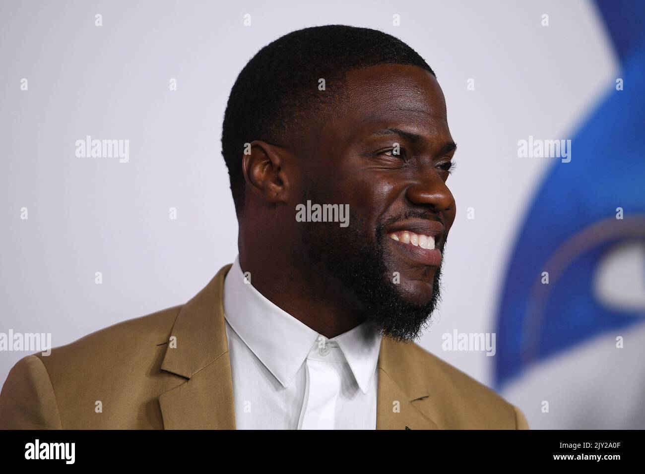 American actor Kevin Hart arrives at the premiere of The Secret Life of ...