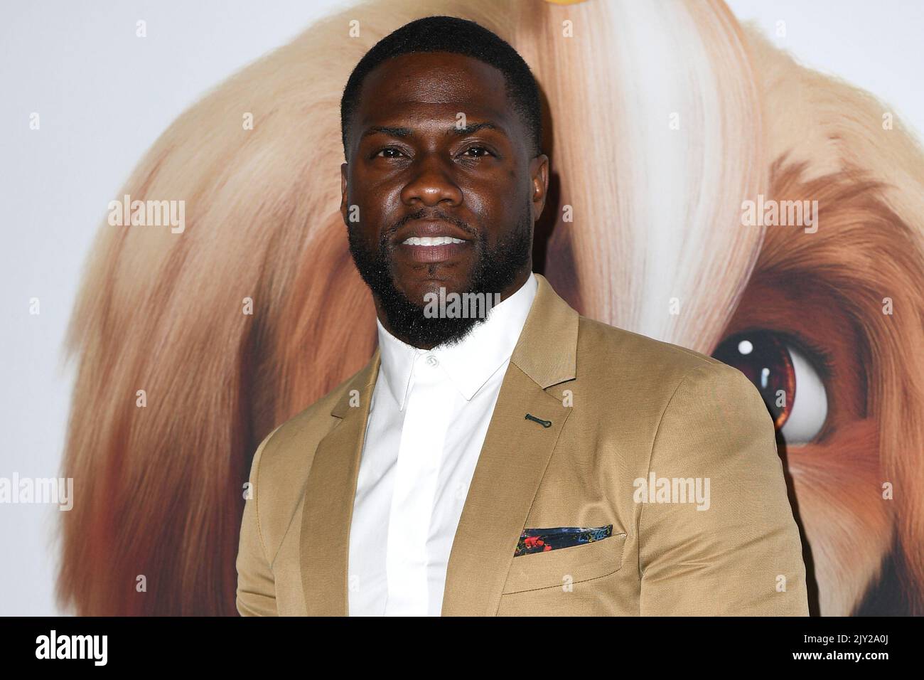 American actor Kevin Hart arrives at the premiere of The Secret Life of ...