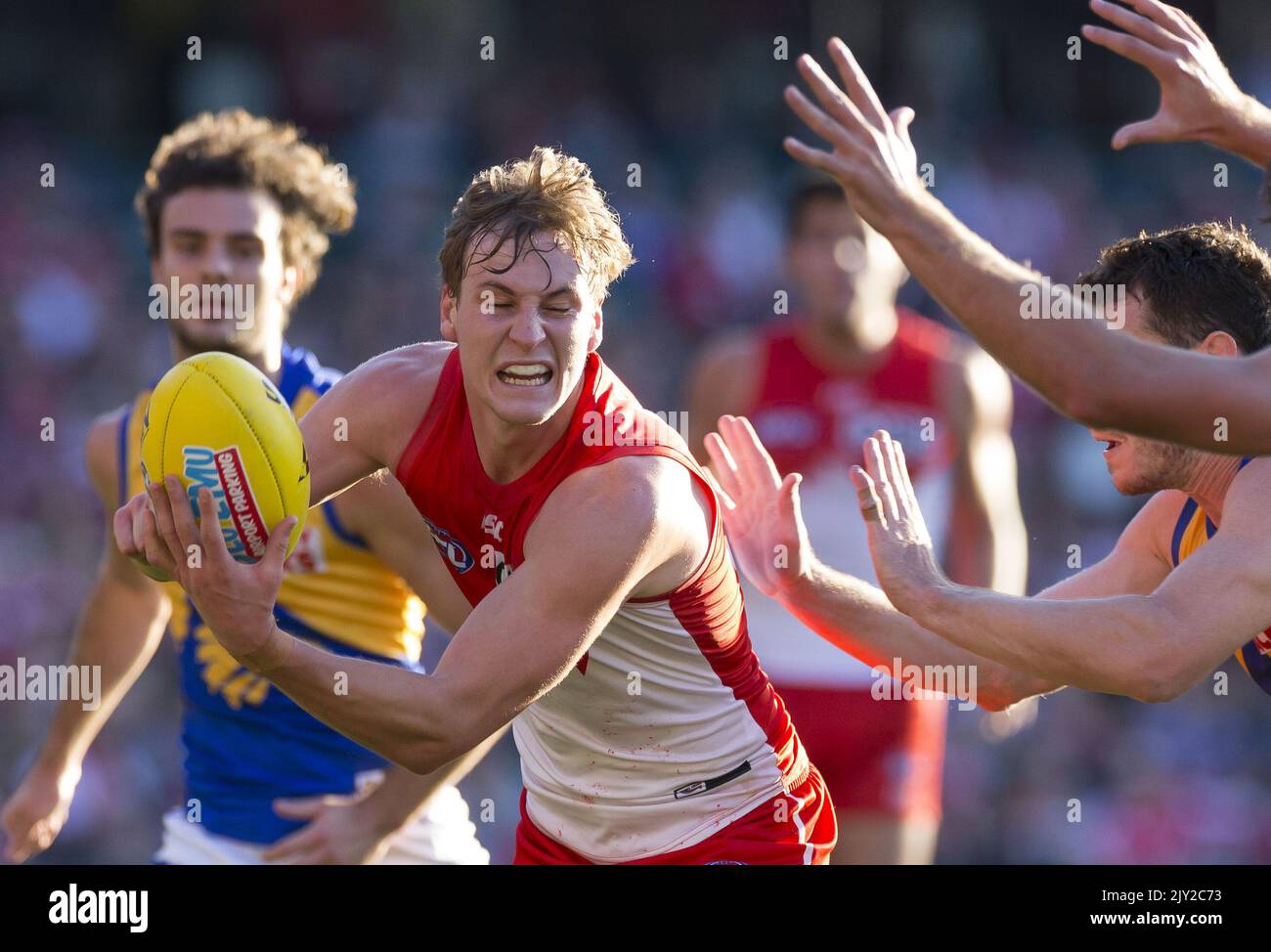 Jordan Dawson of the Swans during the Round 12 AFL match between the ...