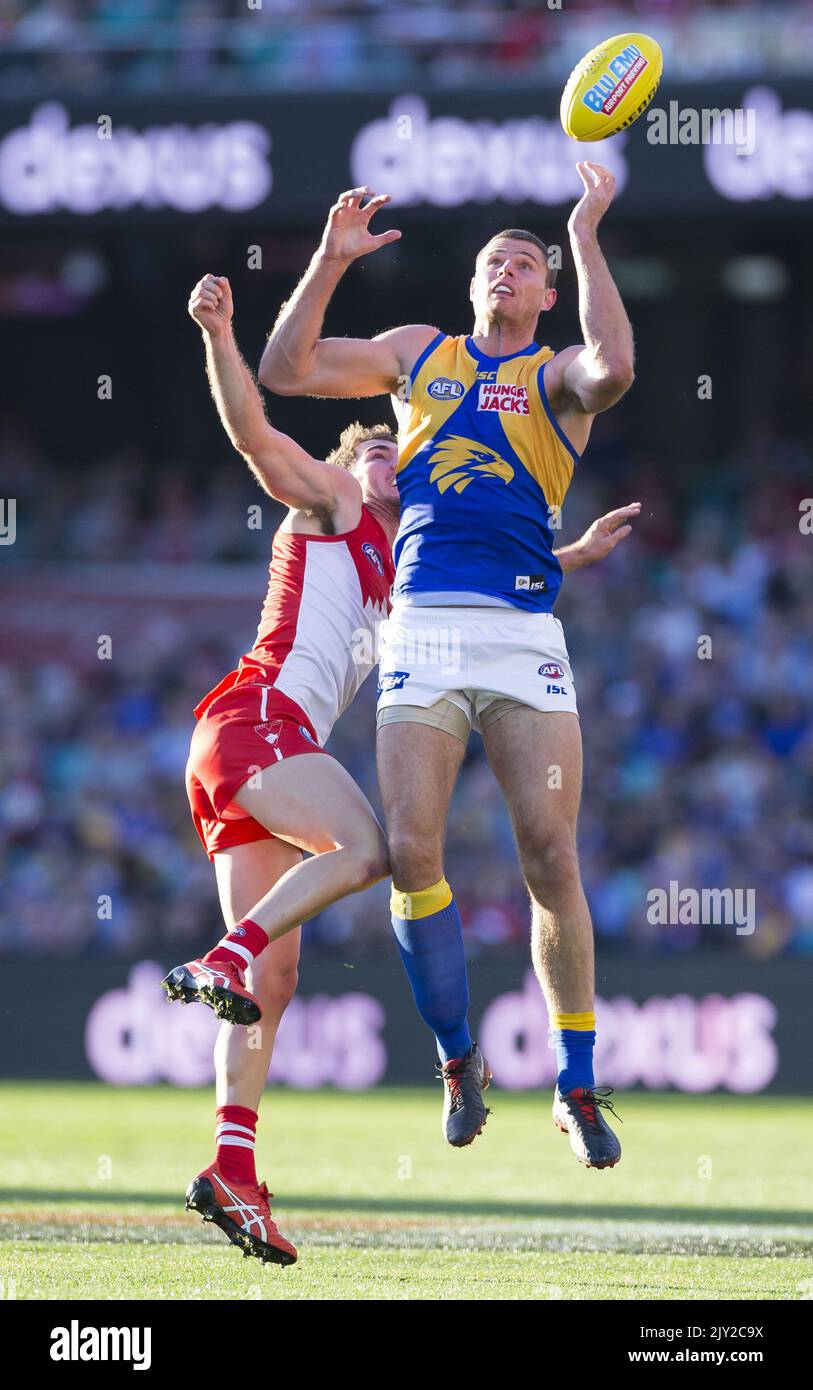 Nathan Vardy of the Eagles during the Round 12 AFL match between the ...