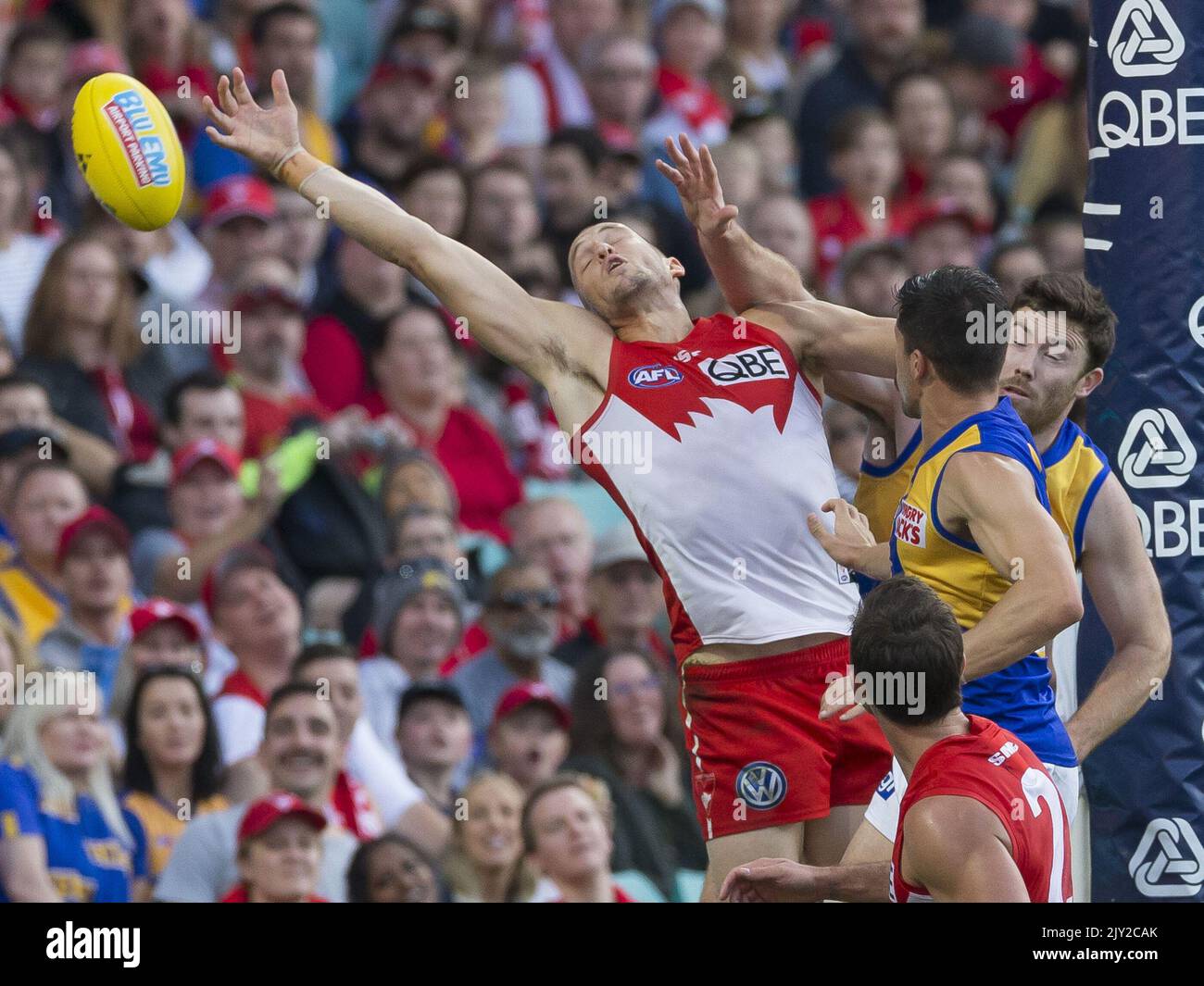 Sam Reid of the Swans goes up for a mark during the Round 12 AFL match ...