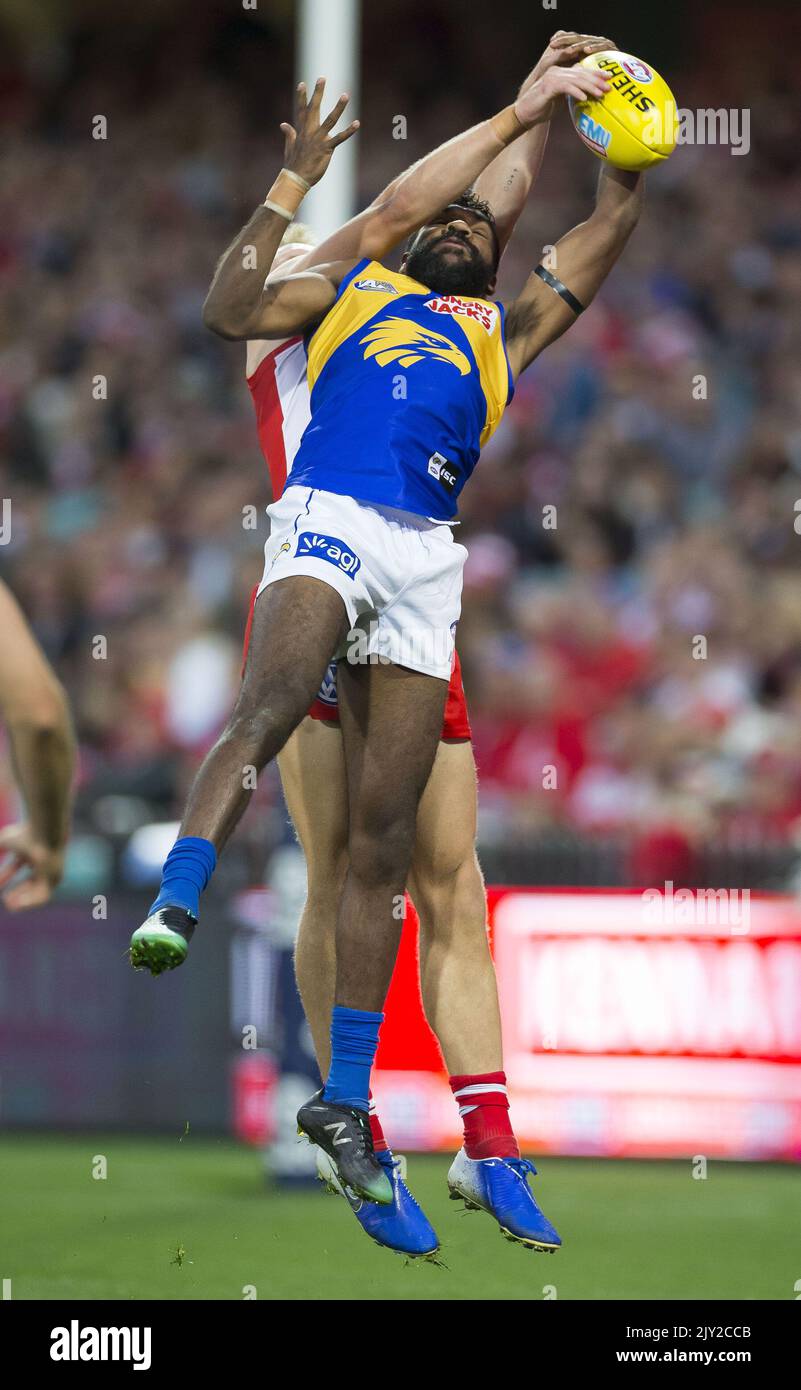 Liam Ryan of the Eagles marks during the Round 12 AFL match between the ...