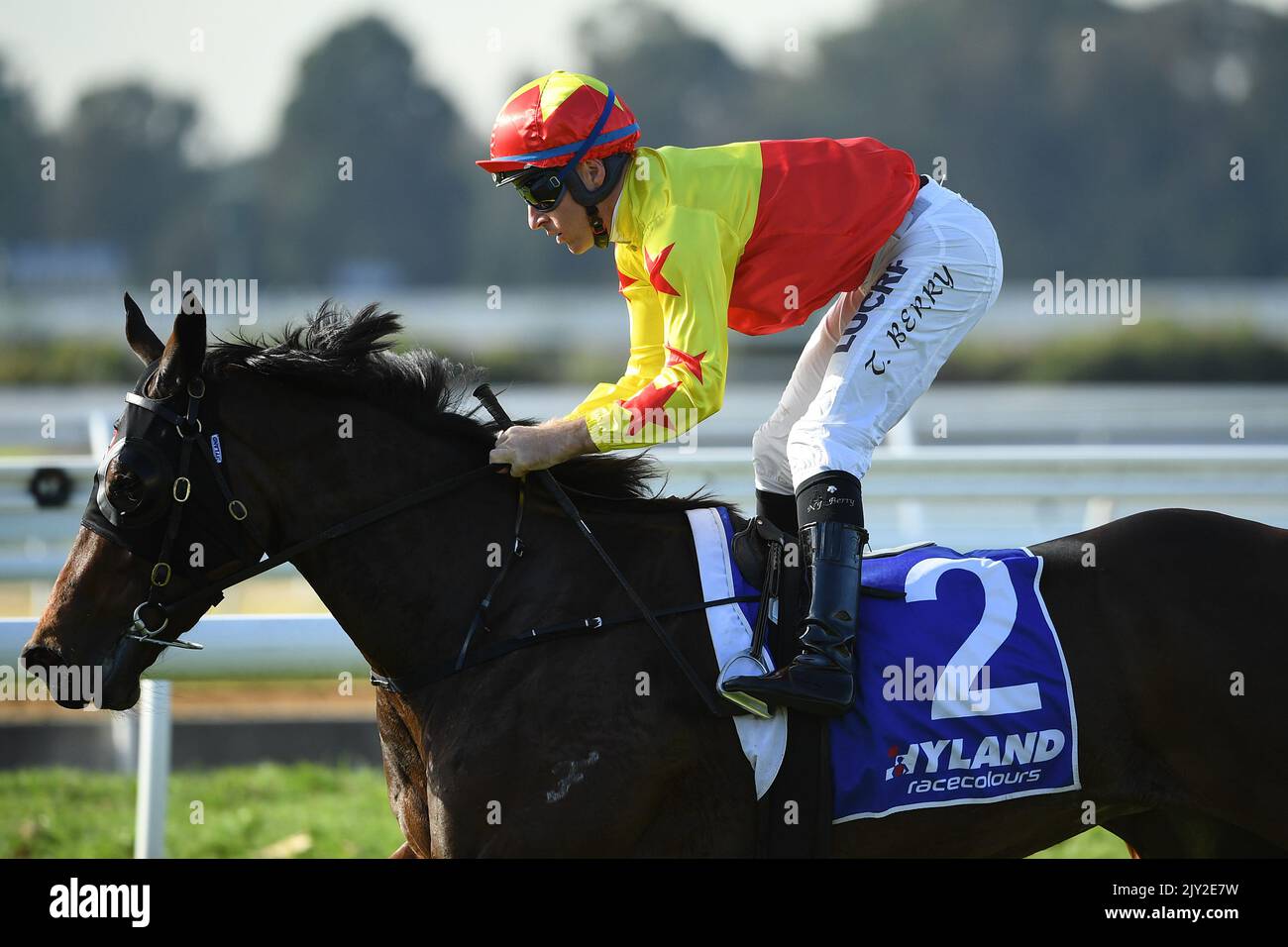Tommy Berry rides California Salto to victory in Race 3, the Hyland ...