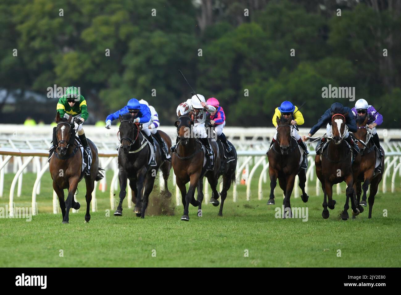 Jockey Robbie Dolan rides Pop Girl to victory in Race 4, the Vinery ...