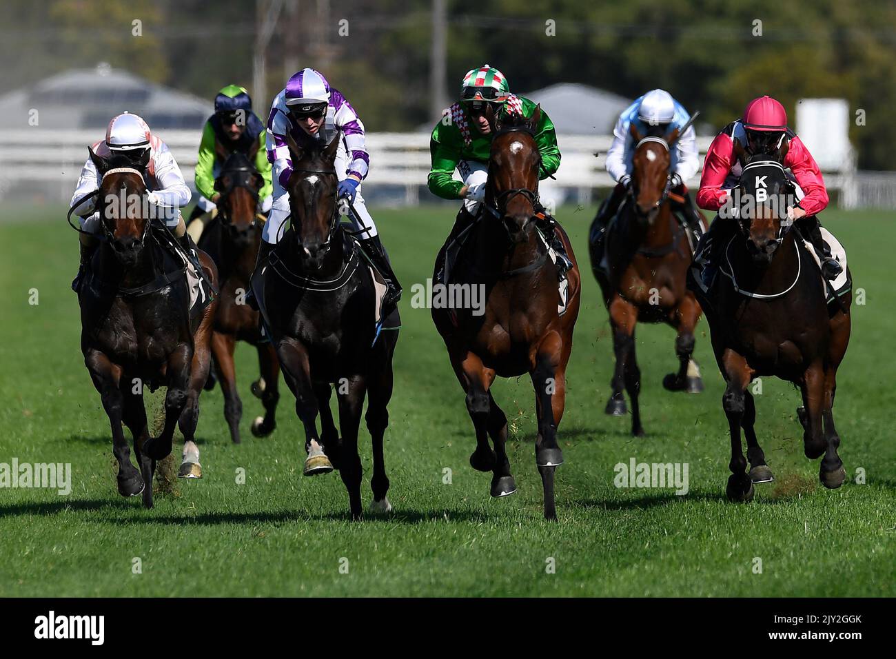 Jockey Sean Cormack rides Smartypy (centre) to victory in race 3, the ...
