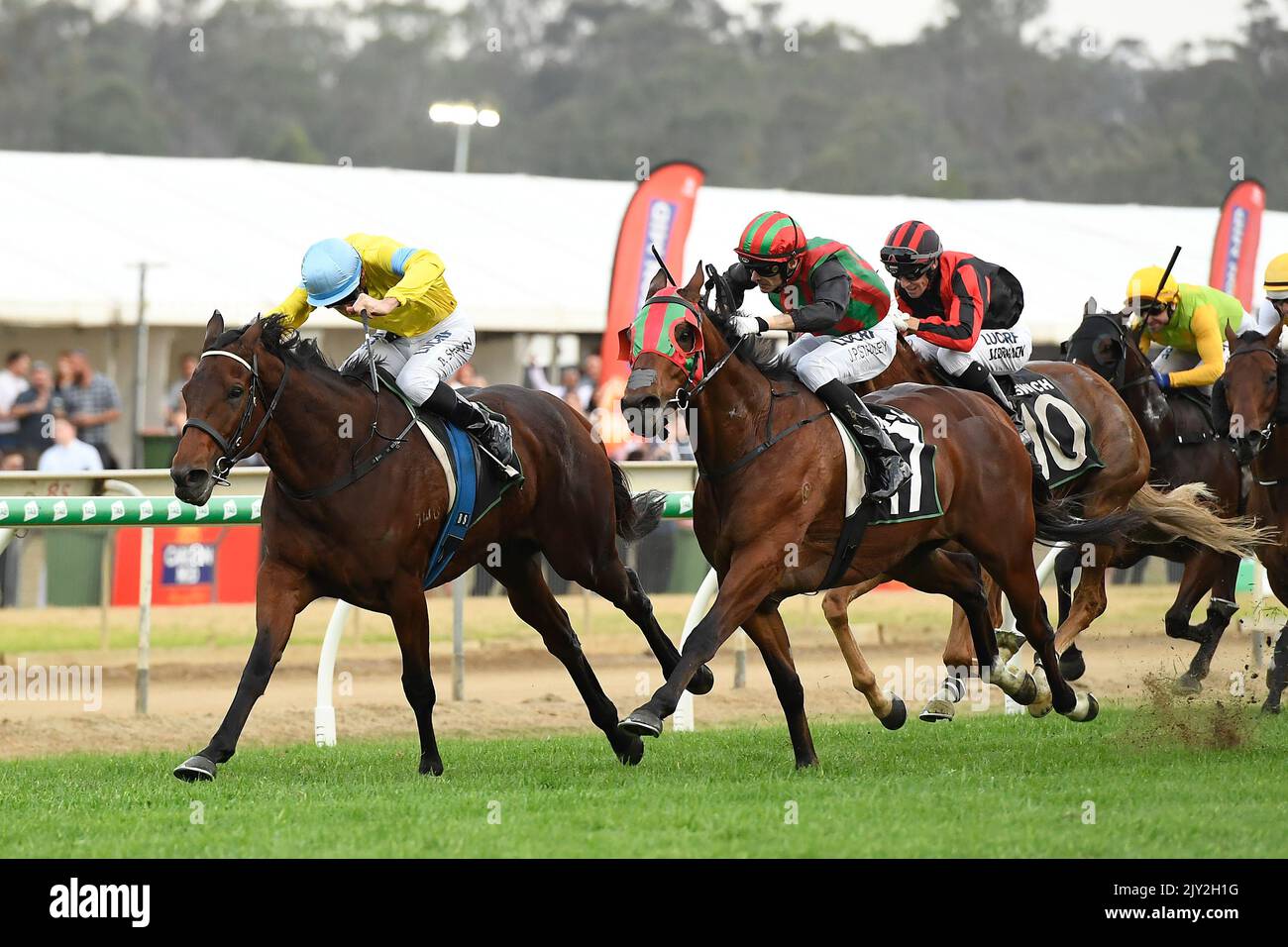 Jockey Blake Shinn rides Man Booker to victory in race 8, the Eye Liner ...