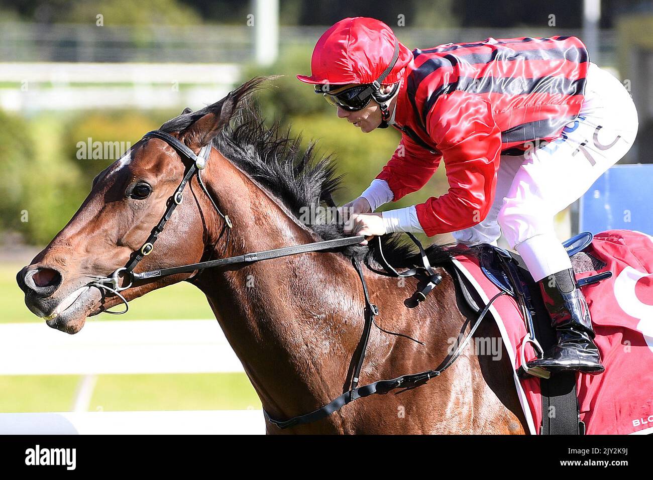 Jockey Tim Clark rides Rule The World to victory in race 1 the ANZ ...