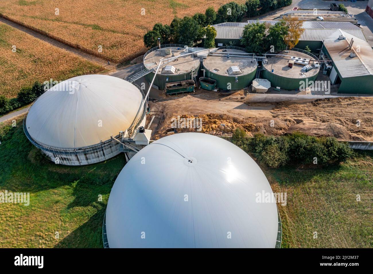 Biogas plant, gas storage, with dome, fermenter Tanks for the ...