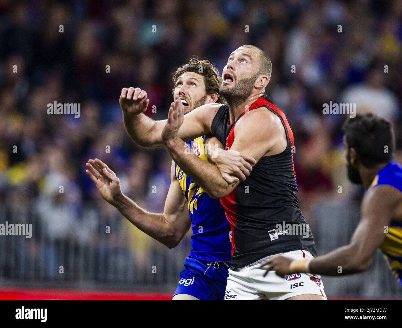 Tom Hickey of the Eagles and Tom Bellchambers of the Bombers during the ...