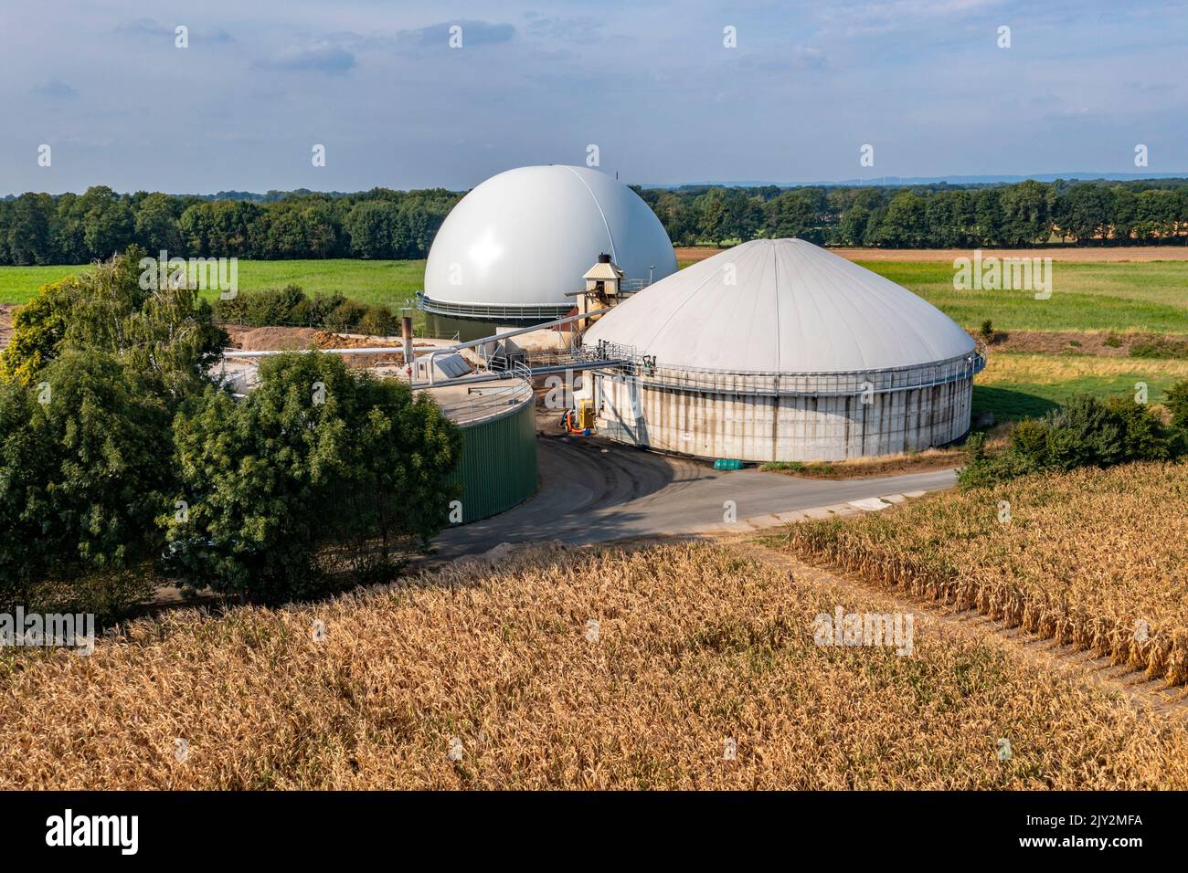 Biogas plant, gas storage, with dome, fermenter Tanks for the ...