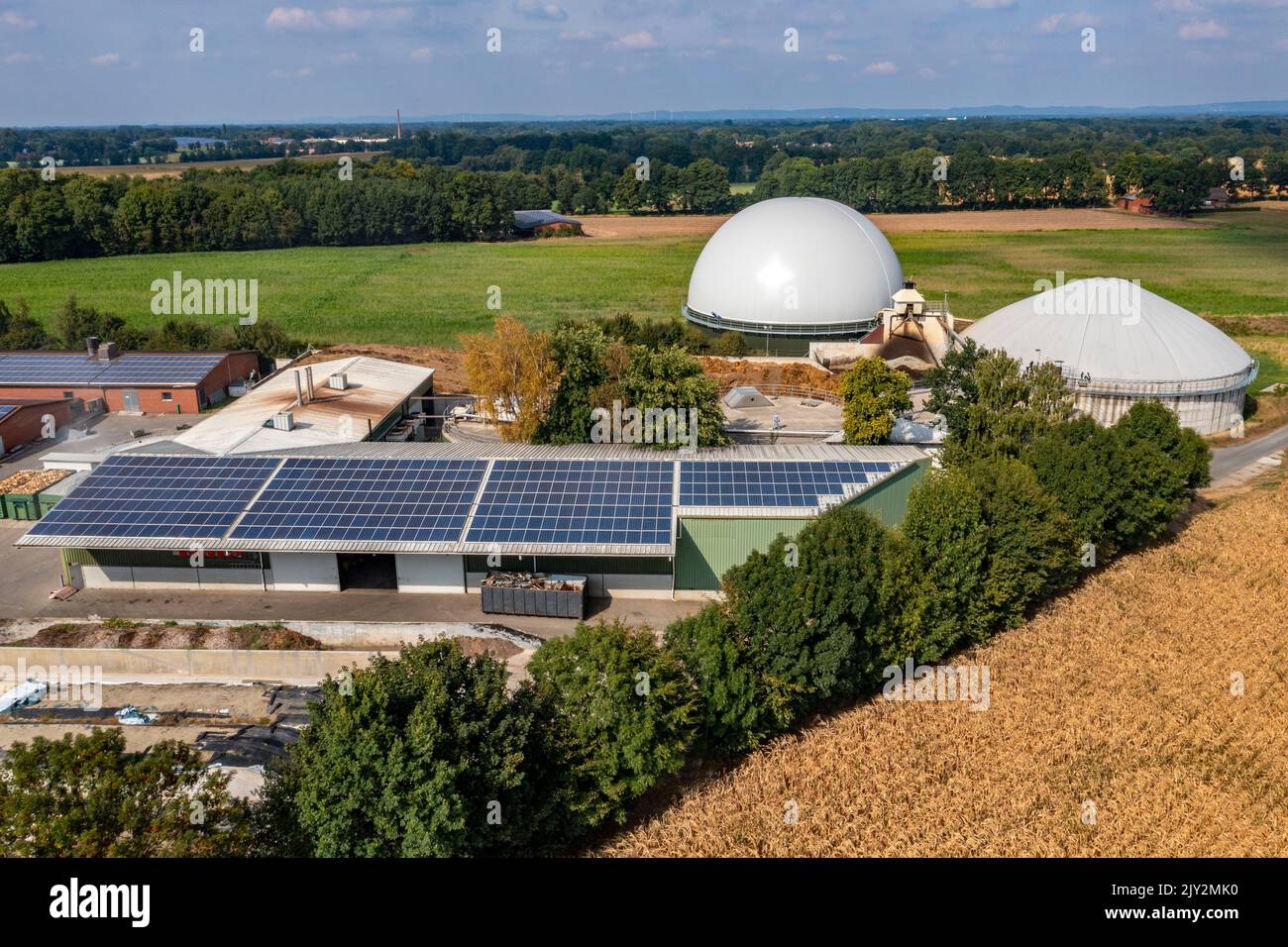 Biogas plant, gas storage, with dome, fermenter Tanks for the ...
