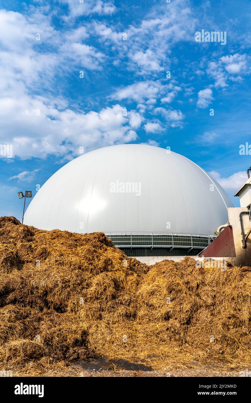 Biogas plant, gas storage, with dome, fermenter Tanks for the ...