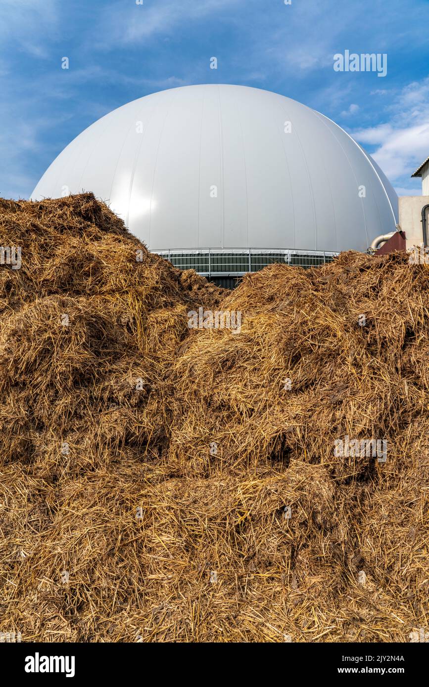 Biogas plant, gas storage, with dome, fermenter Tanks for the ...