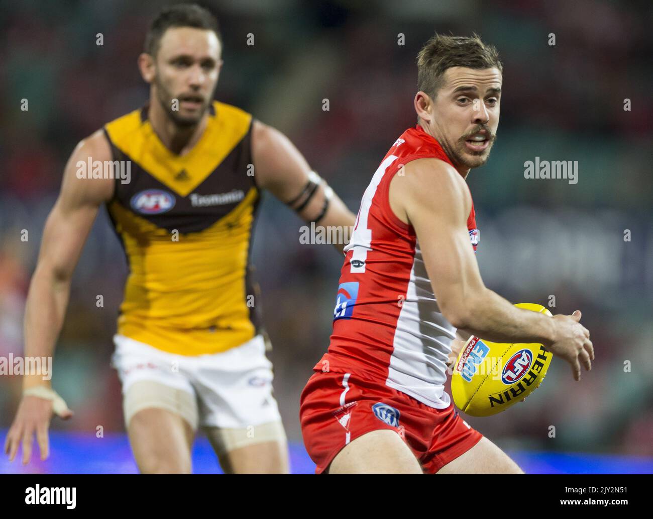 Jake Lloyd of the Swans during the Round 14 AFL match between the ...