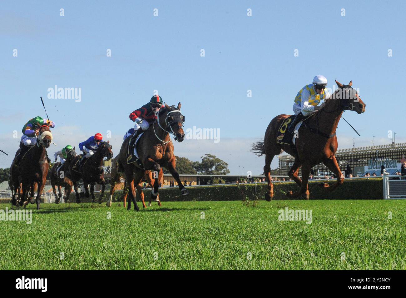 Jockey Jay Ford rides Primitivo to victory in race 3, the Schweppes ...
