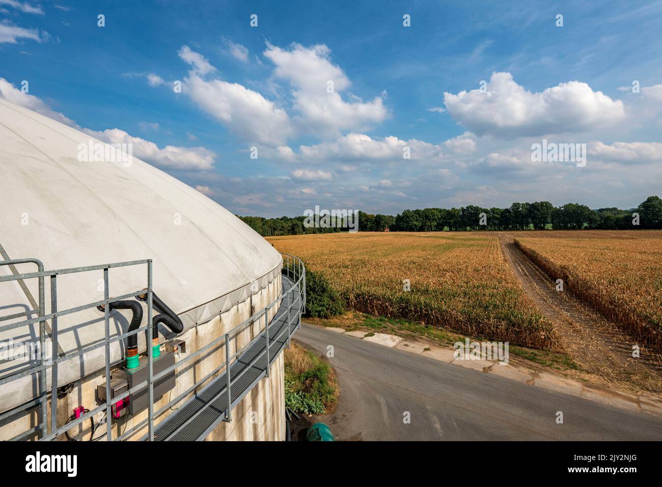Biogas plant, gas storage, with dome, fermenter Tanks for the ...