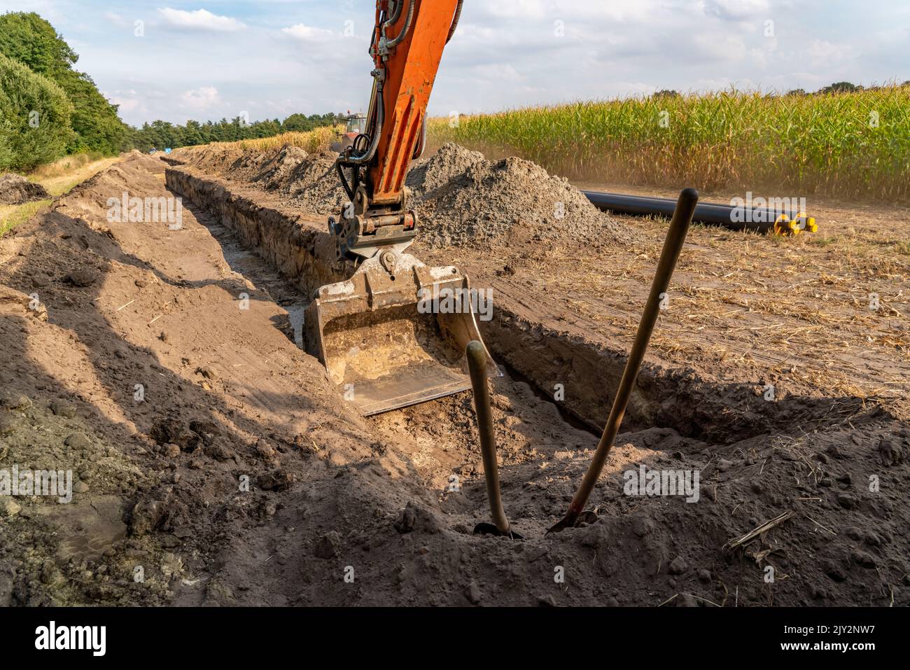 Laying of district heating pipes, next to a field, with maize, the district heating comes from a ...