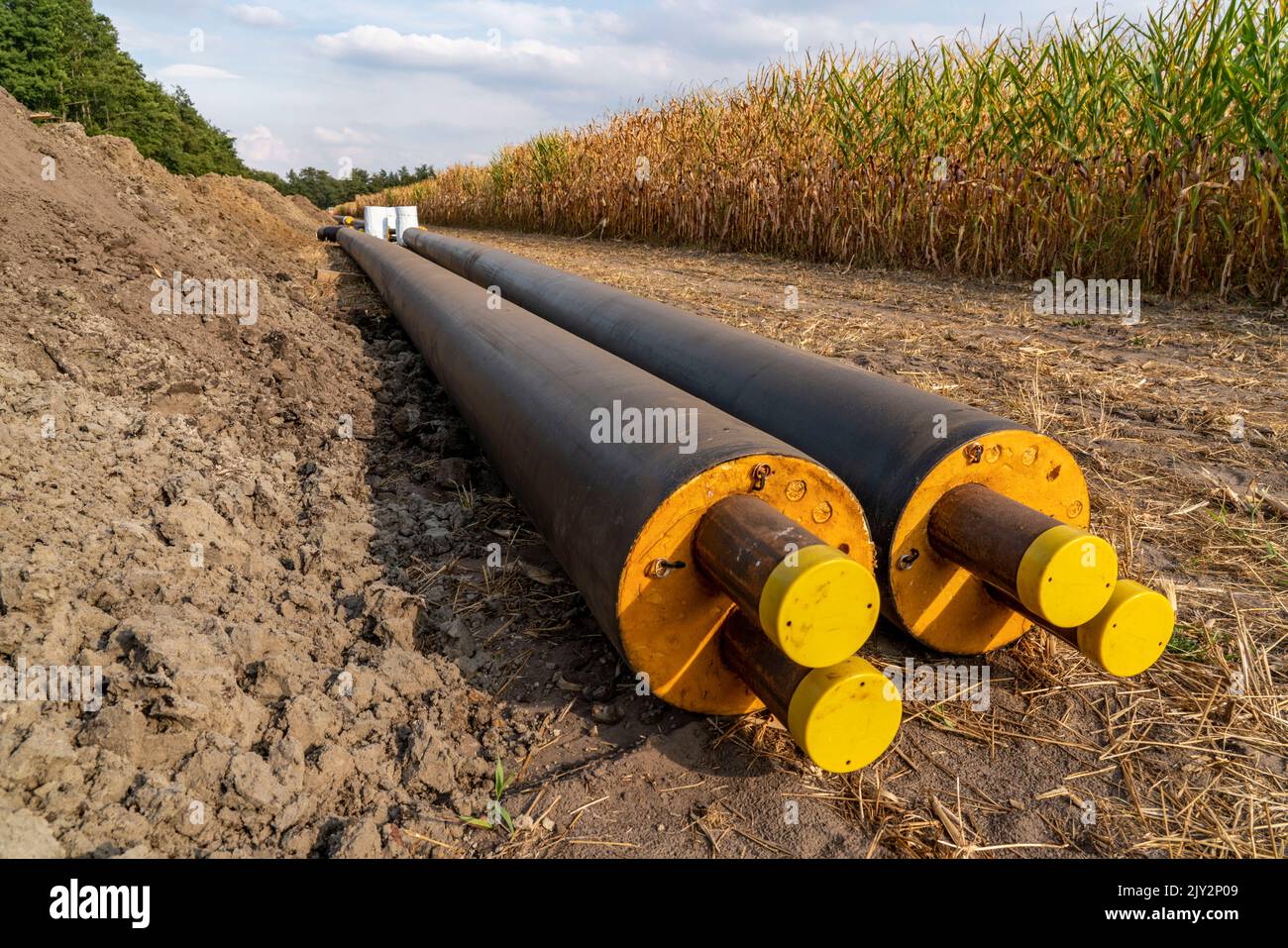 Laying of district heating pipes, next to a field, with maize, the district heating comes from a ...