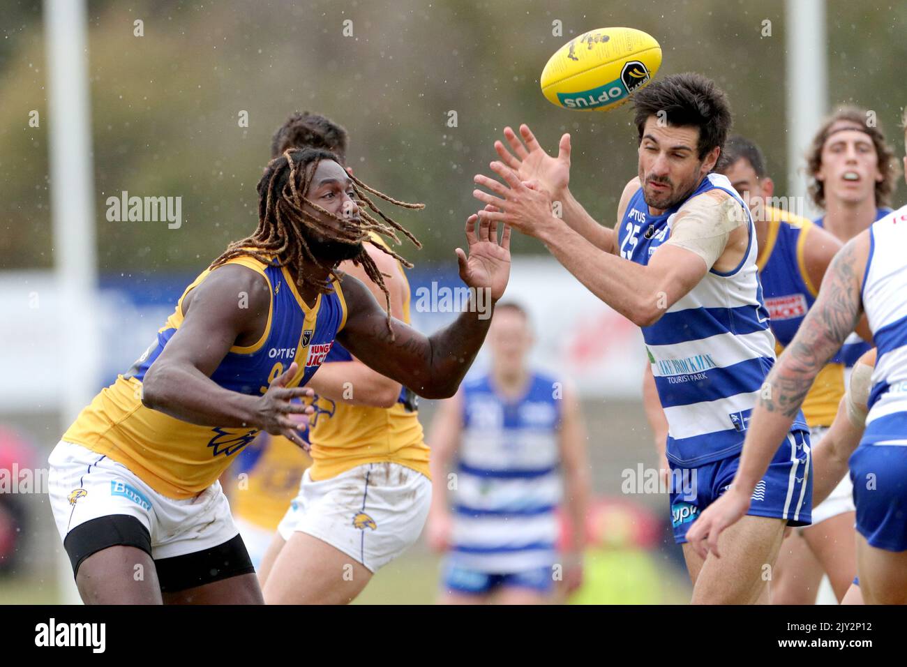 West Coast Eagles ruckman Nic Naitanui is seen in action for the West ...