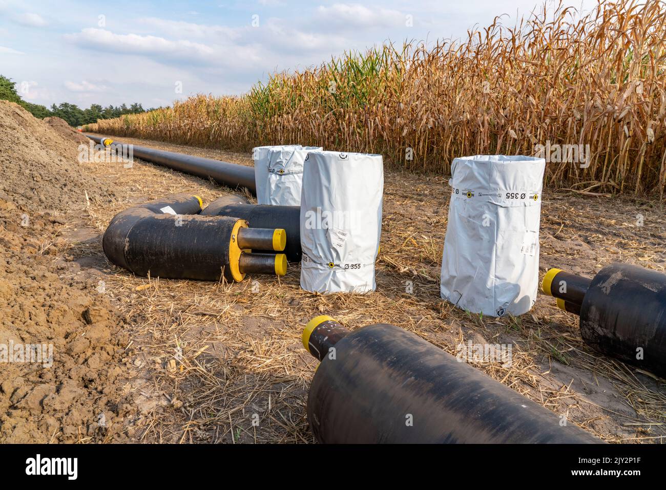 Laying of district heating pipes, next to a field, with maize, the district heating comes from a ...