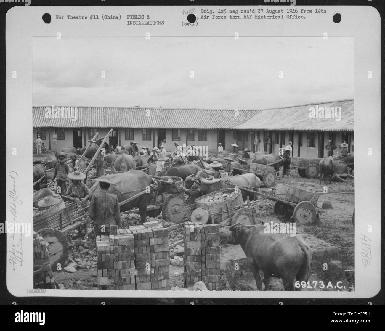 Chinese Laborers Use Water Buffalo For Hauling Material Used In The ...