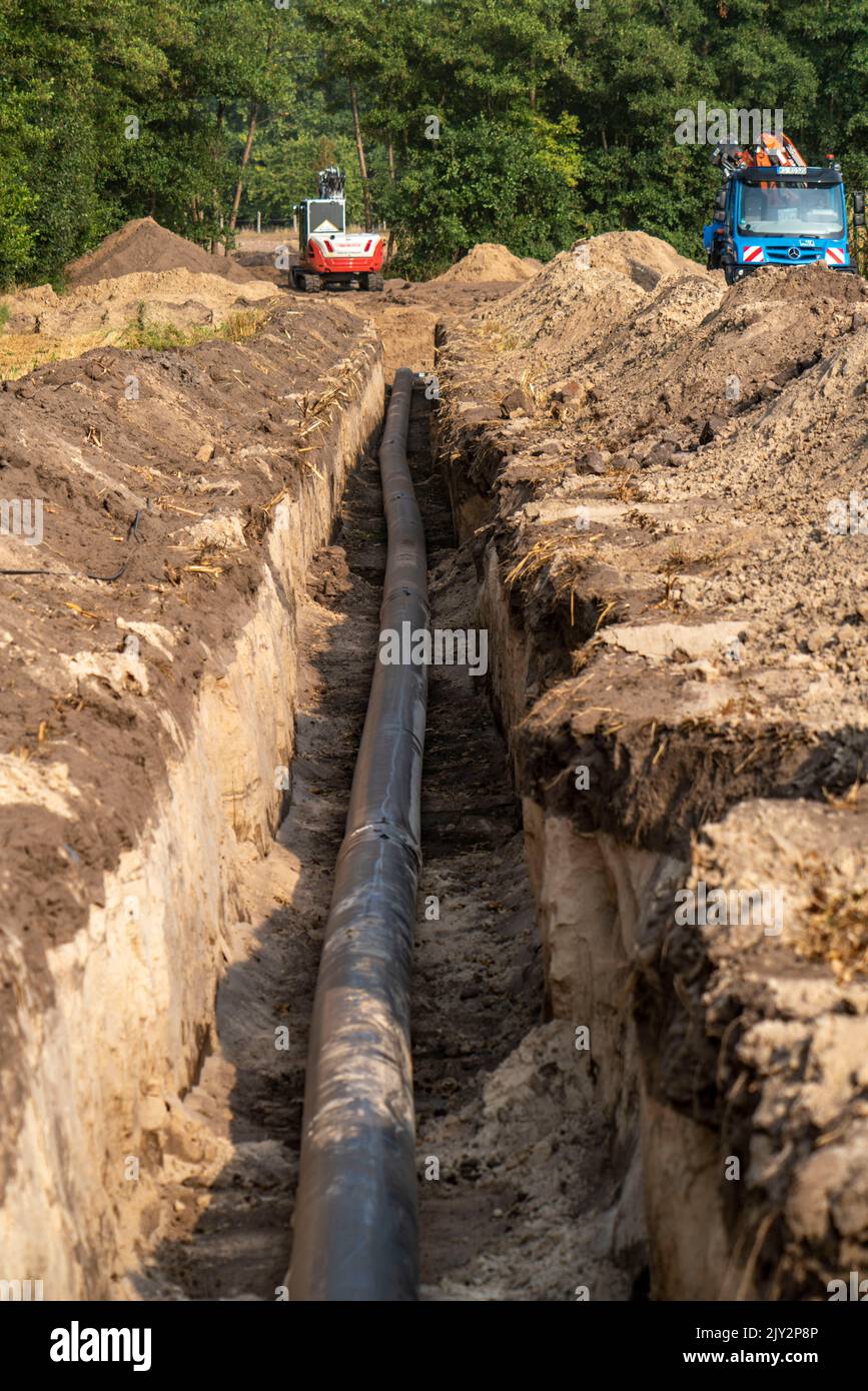 Laying of district heating pipes, next to a field, with maize, the district heating comes from a ...
