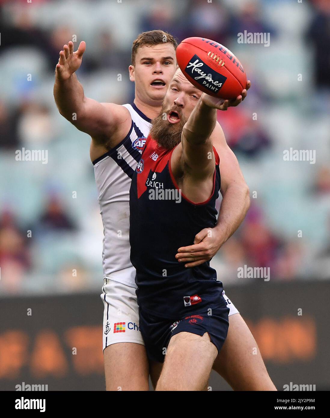 Sean Darcy of the Dockers (left) and Max Gawn of the Demons contest ...