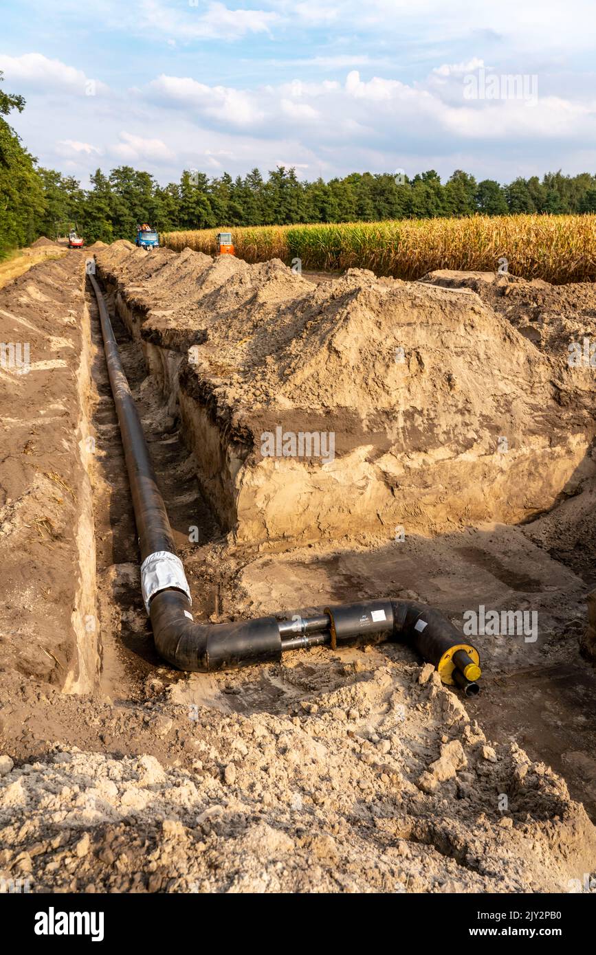 Laying of district heating pipes, next to a field, with maize, the district heating comes from a ...