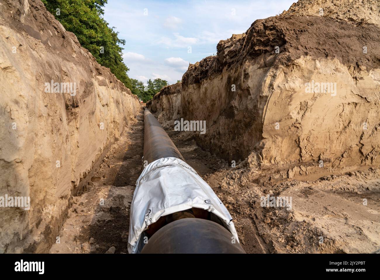 Laying of district heating pipes, next to a field, with maize, the district heating comes from a ...