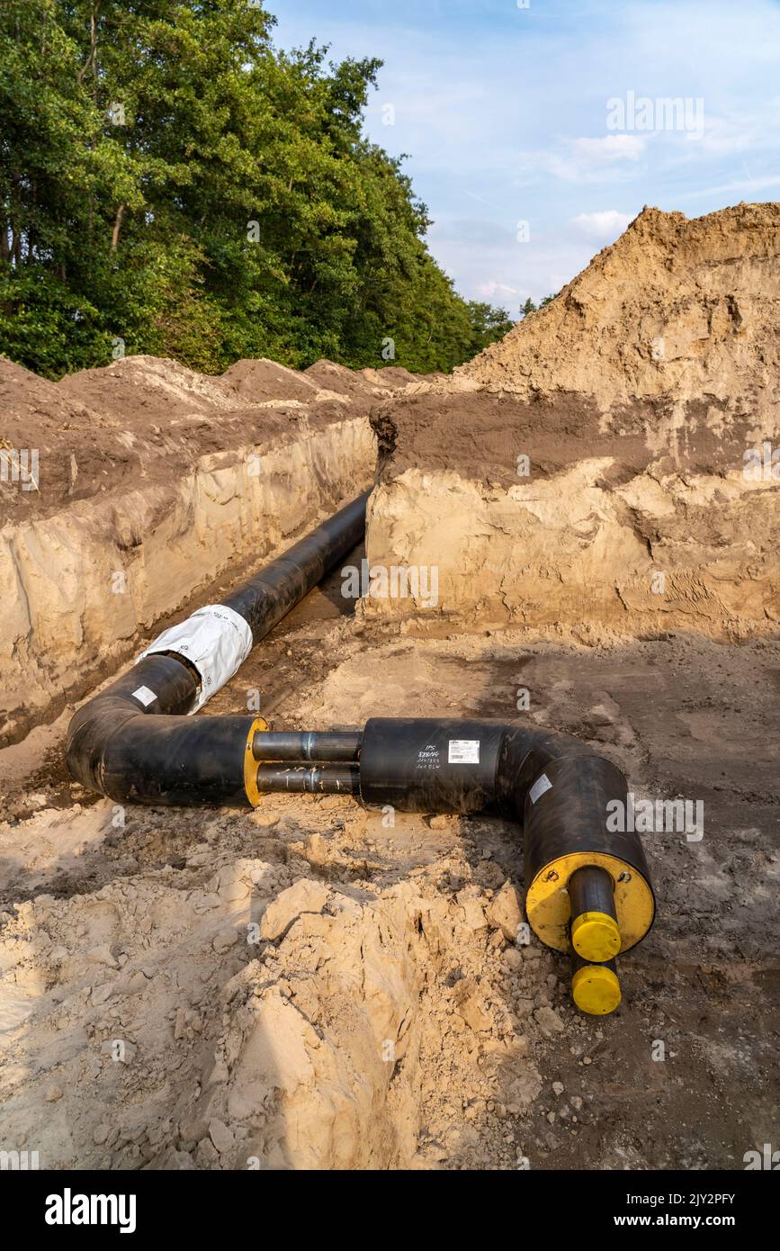 Laying of district heating pipes, next to a field, with maize, the district heating comes from a ...