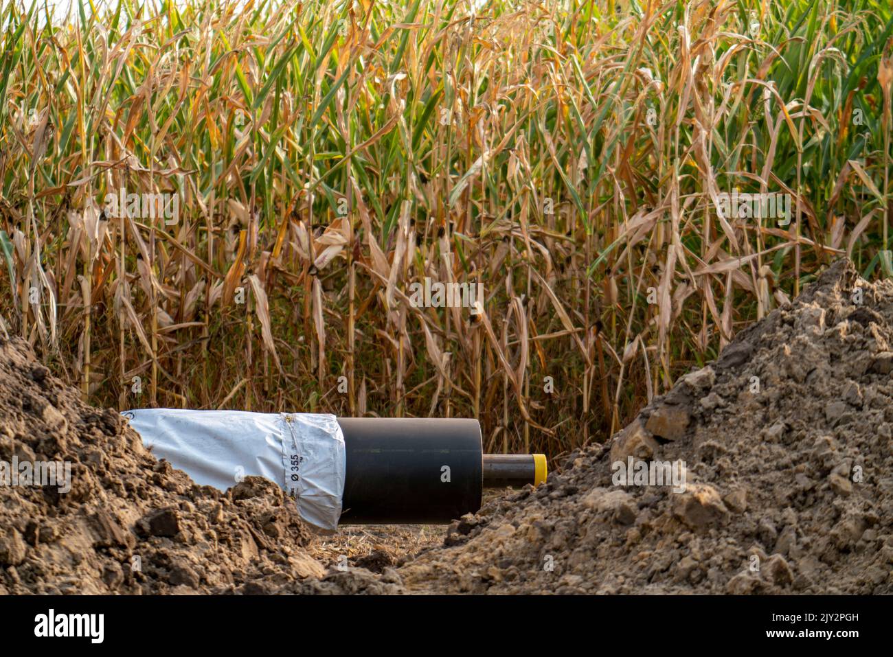 Laying of district heating pipes, next to a field, with maize, the district heating comes from a ...