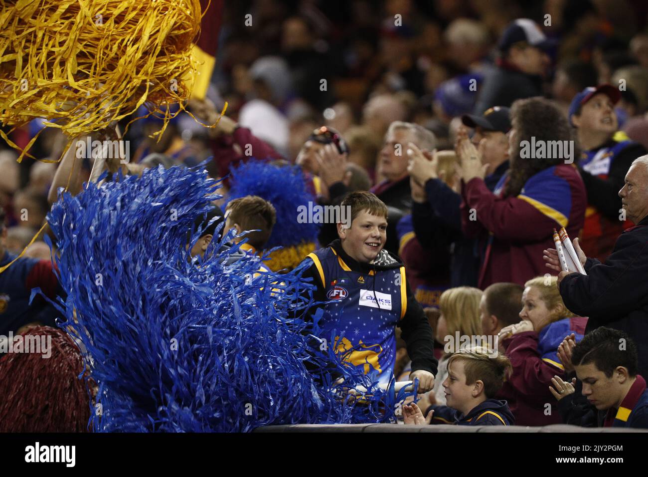 Lions fans cheer during the Round 14 AFL match between the St Kilda ...