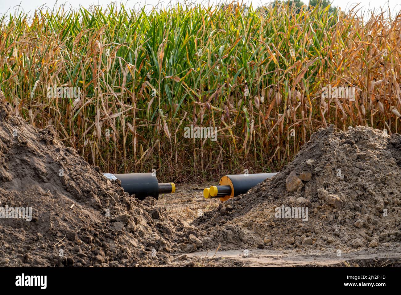 Laying of district heating pipes, next to a field, with maize, the district heating comes from a ...