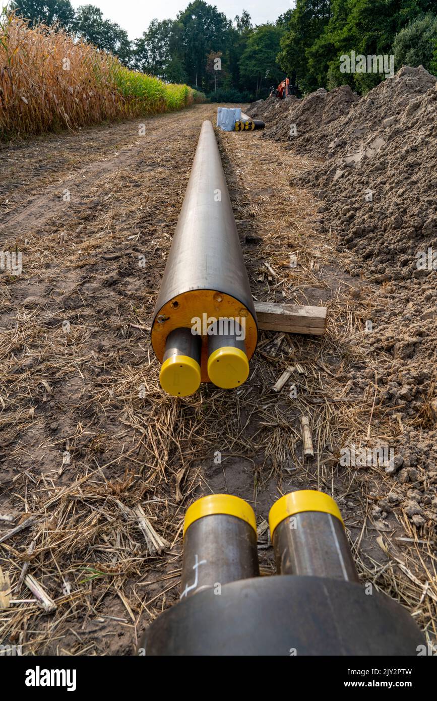 Laying of district heating pipes, next to a field, with maize, the district heating comes from a ...