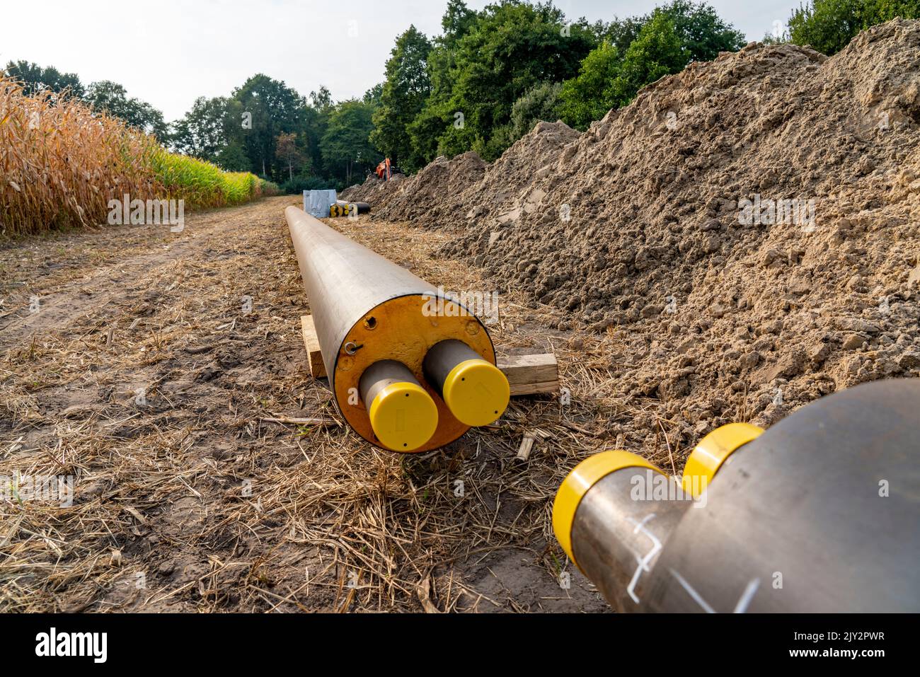 Laying of district heating pipes, next to a field, with maize, the district heating comes from a ...