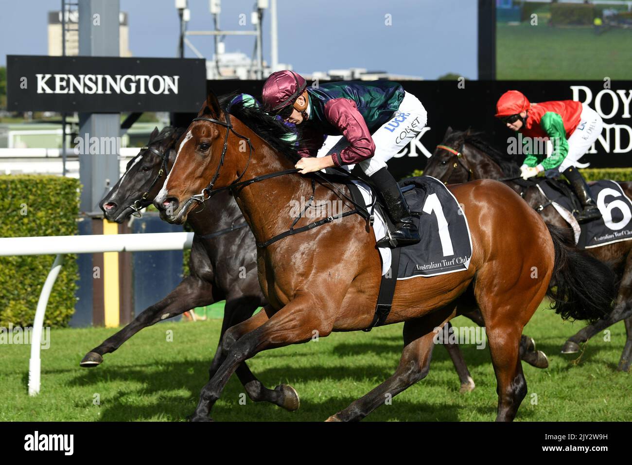 Jockey Jason Collett (right) rides Covert Operation to victory in Race ...
