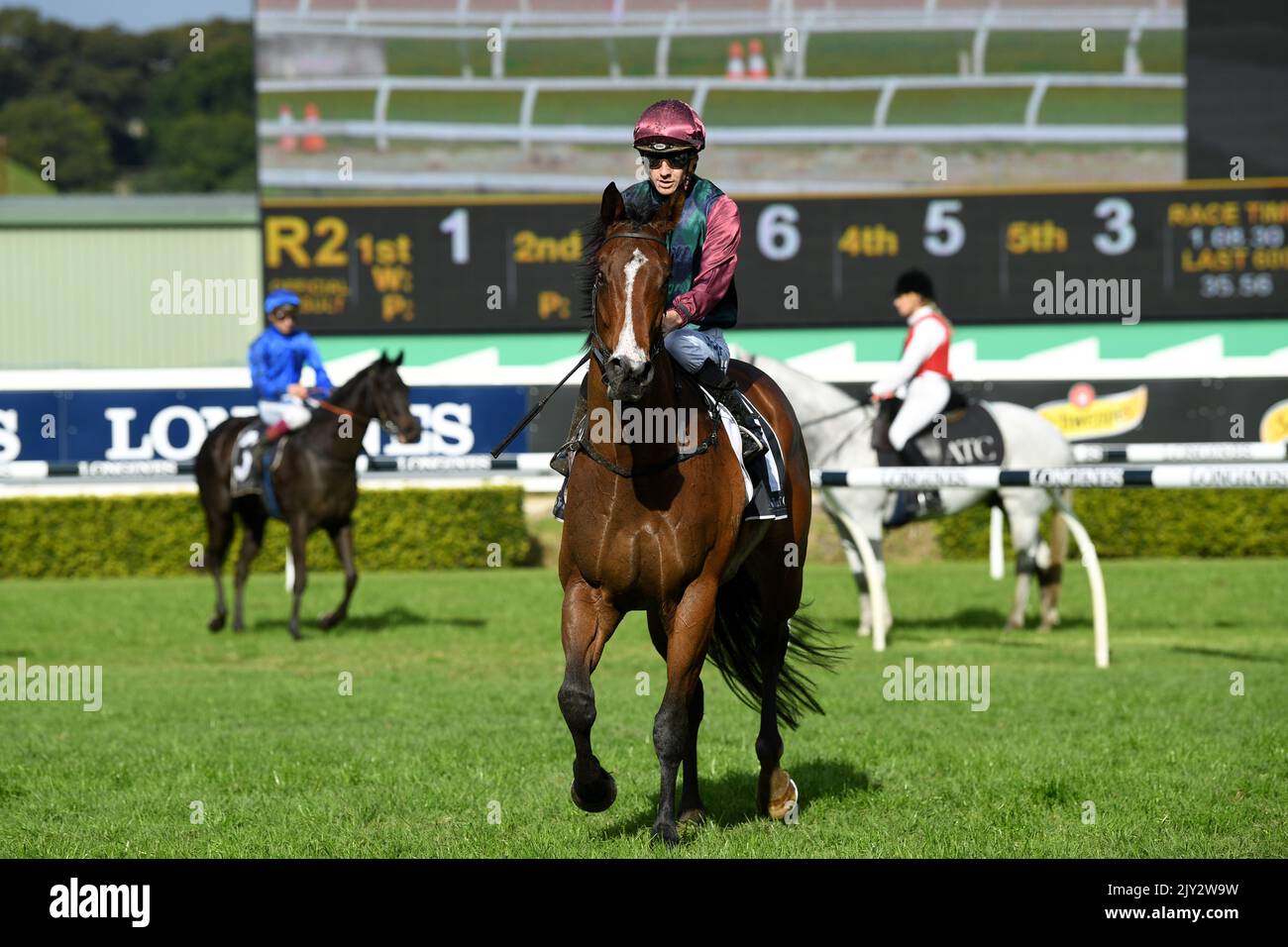 Jockey Jason Collett returns to the mounting yard after riding Covert ...