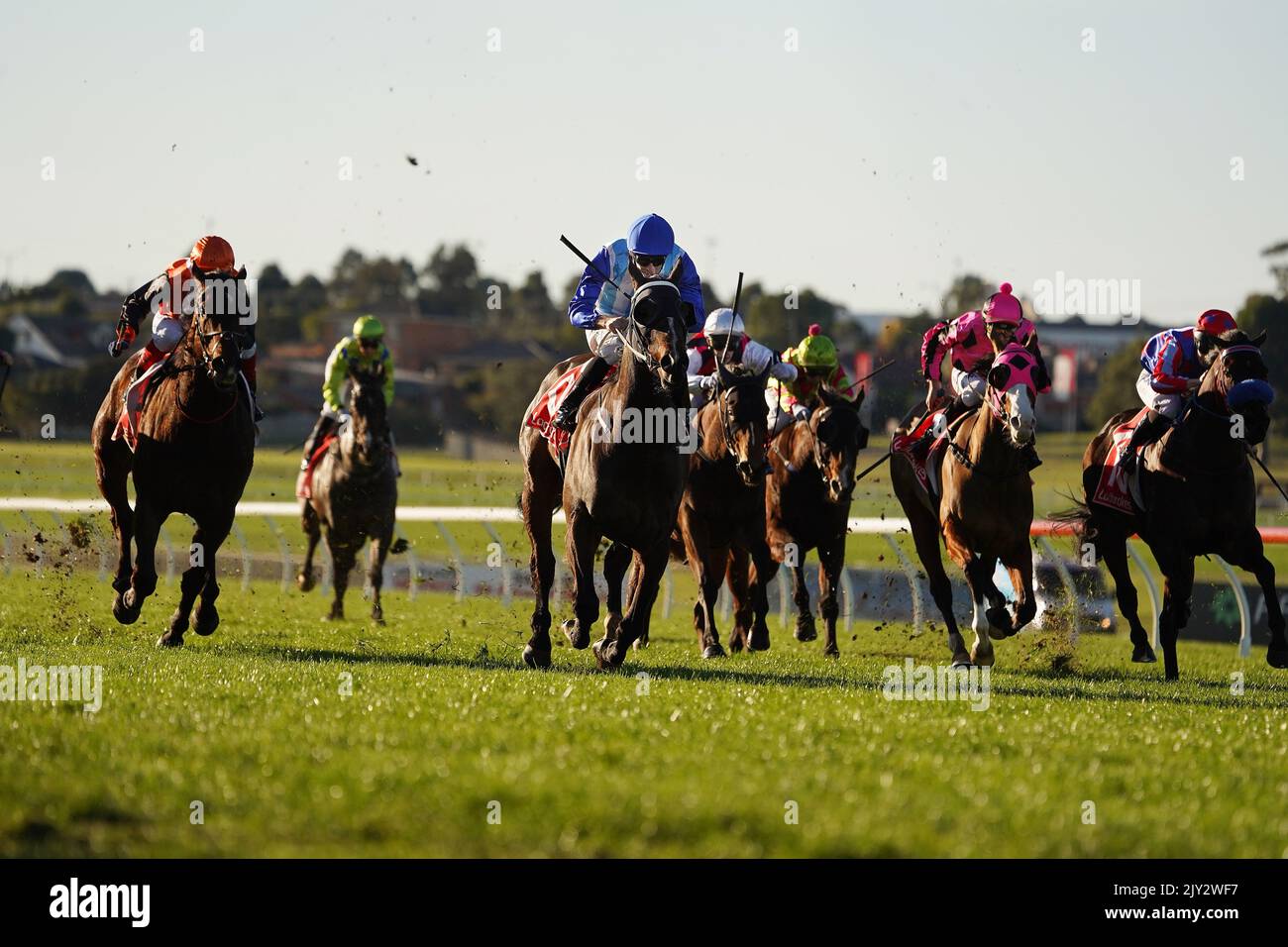 Jockey Jake Noonan rides Aluf to victory in race 6, the Le Pine ...