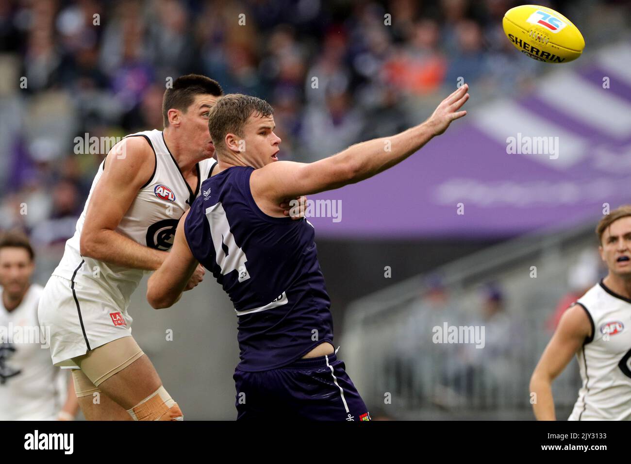 Sean Darcy of the Dockers and Matthew Kreuzer of the Blues contest the ...